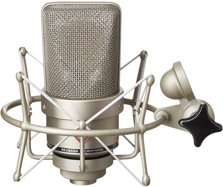 9 Best Microphone For Recording Instruments 2022