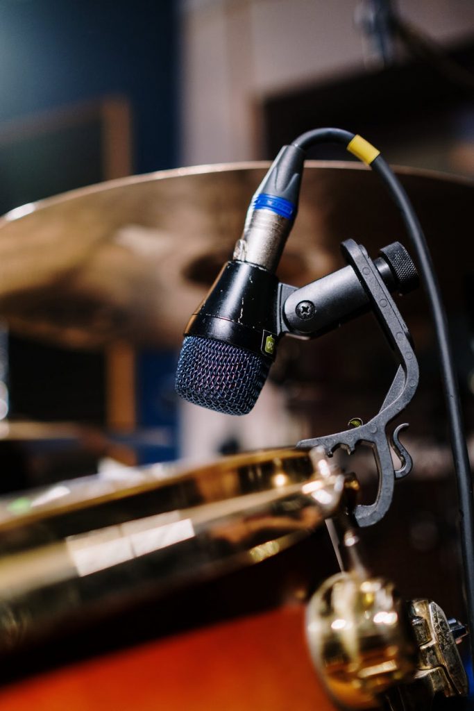 5 Best Mic for Bass Amp Reviewed 2022 | A Young Music