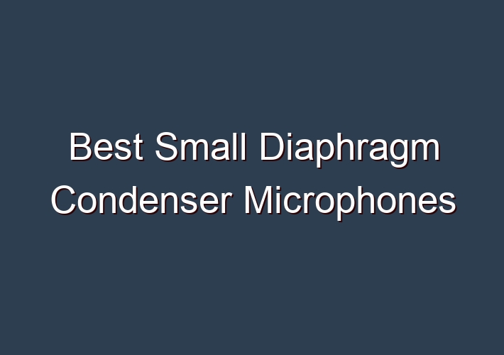 Best Small Diaphragm Condenser Microphones A Young Music